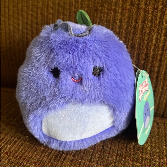 Squishmallows | Toys | Nwt 5 Vhtf Fuzzy Bluby Blueberry Fuzzamallow ...